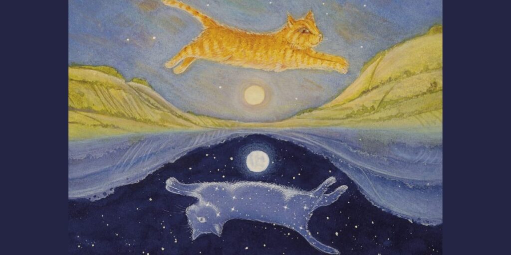 The Magic of Cats, by Andrew Anderson - Musing Mystical